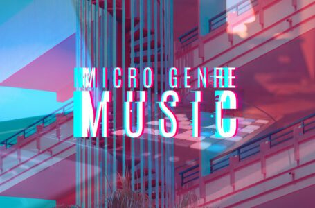What is Bass House? - Micro Genre Music